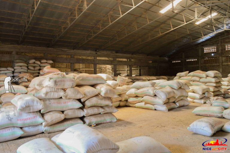 Mwea Nice Rice Millers